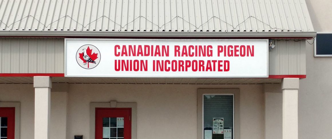 Canadian Racing Pigeon Union – Come Fly With Us